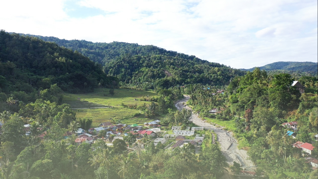 Menjaga Hutan Melalui Kearifan Lokal: Kisah Inspiratif Masyarakat Adat - NTFP EP Indonesia